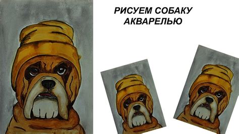 Как нарисовать бульдога акварелью Как легко нарисовать собаку Рисуем собаку в шапке Youtube