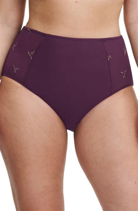 Womens High Waisted Panties Nordstrom