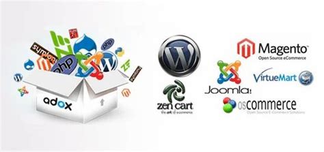 Dynamic Website Development In Delhi Id 11017677455