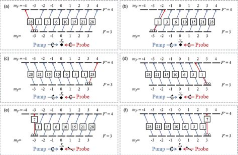 the atomic transition schematic diagram in different polarization