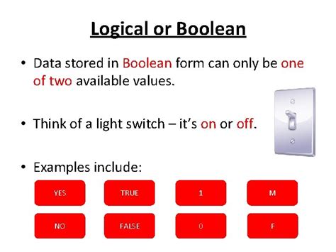 Logical Or Boolean Data Stored In Boolean Form