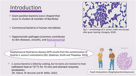 Staphylococcus Aureas 1 Pptx