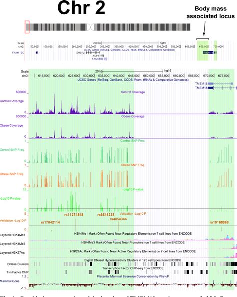 Figure 1 From Determination Of Obesity Associated Gene Variants Related