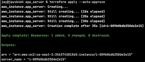 Aws Ec2 Terraform Module Utilizing The Awsami Data Source