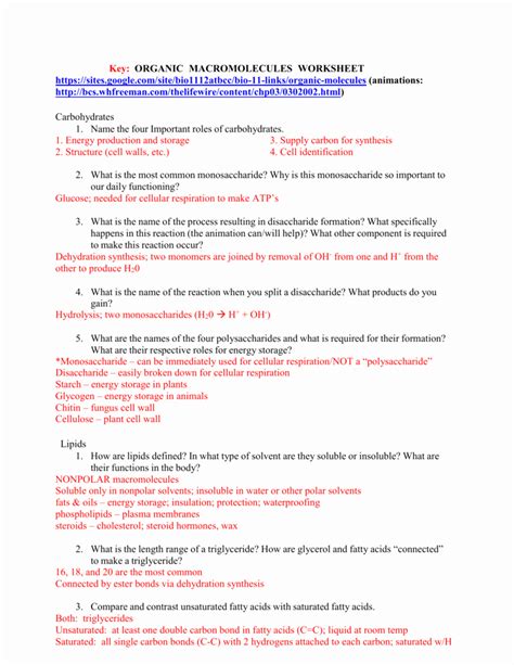 50 Macromolecules Worksheet Answer Key Chessmuseum Template Library