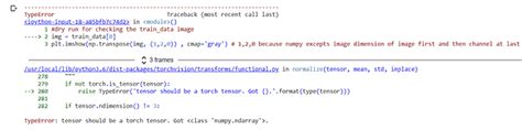 Unable To Create Custom Pytorch Dataset Class For Npy Image File