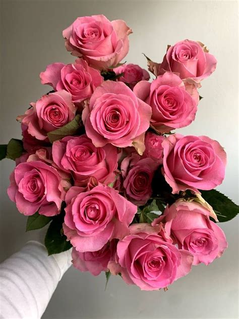 Pink Feed Fashion Pink Flowers Pink Roses Pink Rose Bouquet
