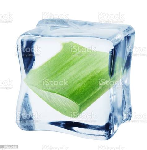 얼음 큐브의 알로에 베라 흰색 배경에 고립 클리핑 경로 필드의 전체 깊이 알로에에 대한 스톡 사진 및 기타 이미지 알로에 얼음 각얼음 Istock