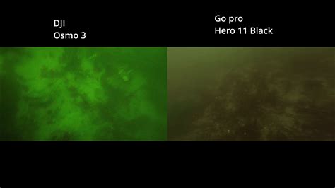 Any Idea Why My Footage Is Green Cast Dji Osmo Action 3 Vs Go Pro Rdji