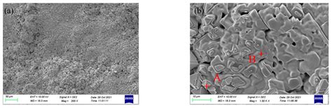 Metals Free Full Text Insight Into The Hot Corrosion Behavior Of Femncrsi Tic Coatings At 900 °c