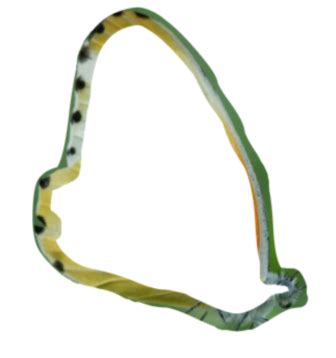 Javascript Adding Curves To Path Stack Overflow