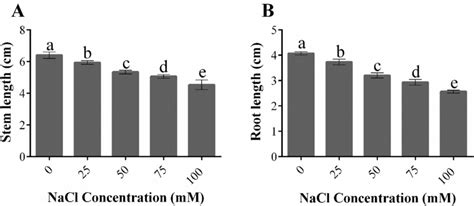 Effect Of Different NaCl Levels On The Stem A And Root B Lengths In Download Scientific