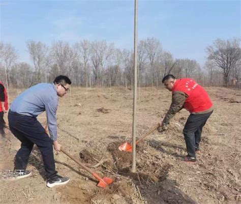 挥锄植绿，济南市工商联开展公益植树活动义务冬雪责任
