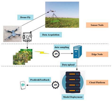 Convolution Network Enlightened Transformer For Regional Crop Disease Classification