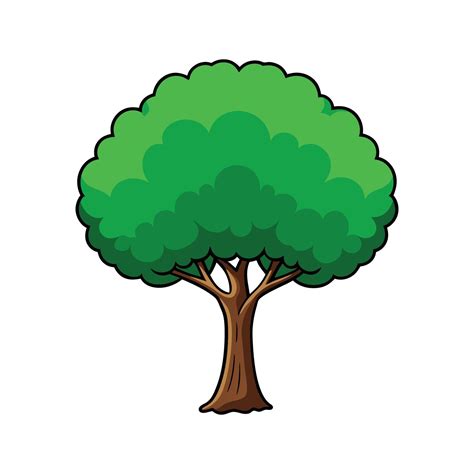 Vibrant Tasmanian Myrtle Tree Illustration Cartoon Art Tree