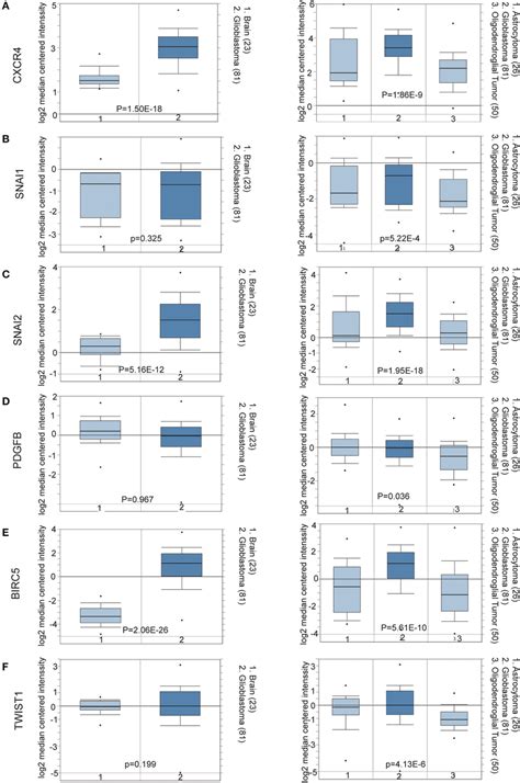 Af Oncomine Data Mining Analysis Of Snai1 Snai2 Birc5 Cxcr4