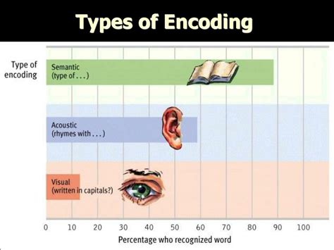 Ppt Memory Powerpoint Presentation Free Download Id 6058791