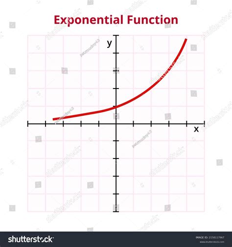 Vector Graph Chart Exponential Function Formula Stock Vector Royalty