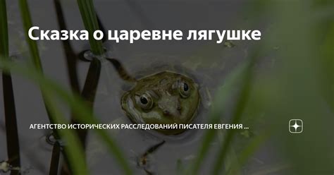 Сказка о царевне лягушке | Агентство исторических расследований ...