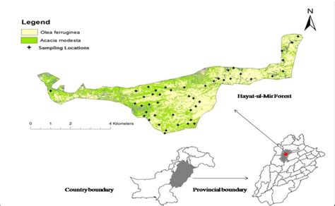 spatial distribution of sampling plots taken in the hm forest