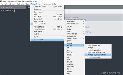 Stublime Text调试input函数的设置sublime中如何运行input函数 Csdn博客