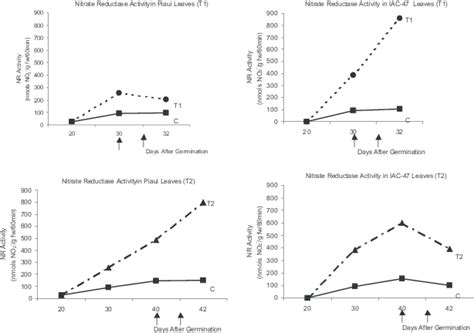 Nitrate Reductase Activity Nra Nmol No À 2 G À1 Pf À1 60 Min In Download Scientific Diagram