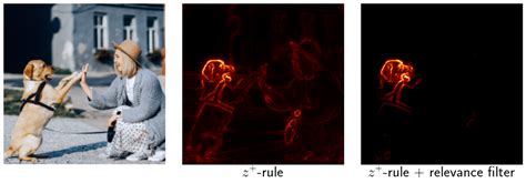 Relevance Propagation With Pytorch