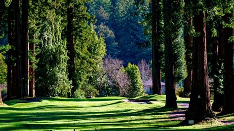 Golfurlaub Usa Northwood Golf Club Ein öffentlicher Alister