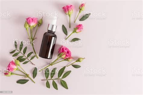 화장품 오일 에센셜 오일 또는 신선한 꽃이있는 보라색 배경에 병에 셀프 케어 세럼 천연 화장품 0명에 대한 스톡 사진 및 기타