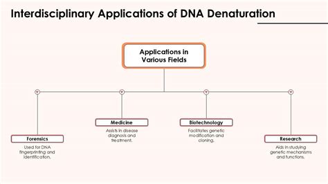 Interdisciplinary Applications Of Dna Denaturation Ppt Summary Acp Ppt Example