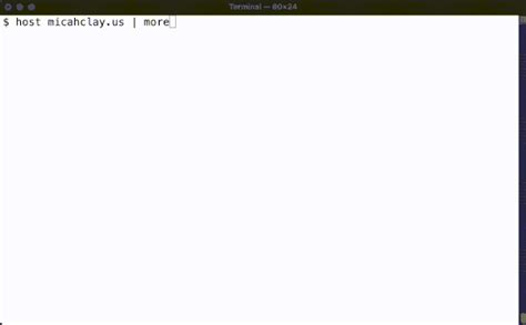 The GTLDs New Clothes A Look At Centralization In Naked Domains