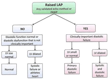 Figure1 Algorithm For Differentiating Diastolic From Combined Systolic