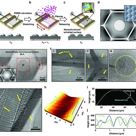 hierarchical nanostructured wrinkles on the pdms based microlens
