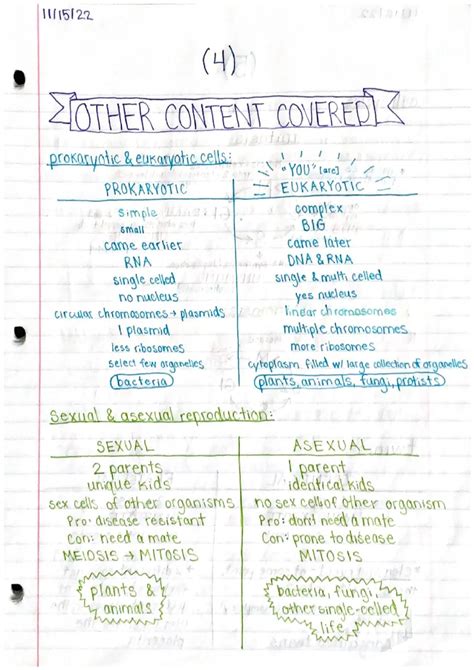 Mitosis And Meiosis Made Easy Pmat Stages And Steps With Homologous
