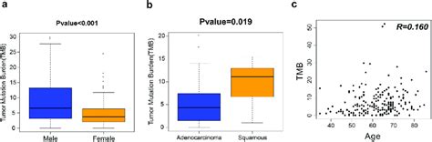 TMB Analysis Of Patients With NSCLC A Differences In TMB By Sex Download Scientific