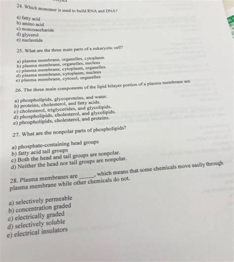 Solved 24 Which Monomer Is Used To Build RNA And DNA A Chegg Com