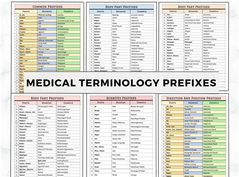 Medical Terminology Flashcards Medical Terminology Prefixes 55 Off