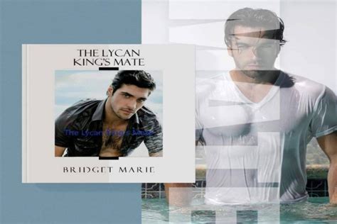 Werewolf Romance Review The Lycan King S Mate Dreame