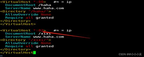 虚拟主机 Apachenginxapache 虚拟主机 Csdn博客