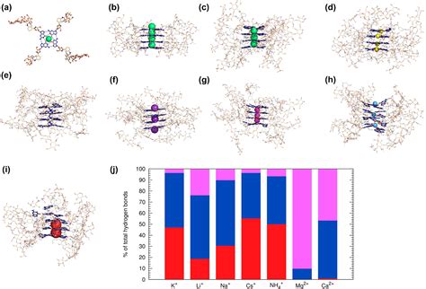 Self Supporting Hyaluronic Acid Functionalized G Quadruplex Based Perfusable Multicomponent