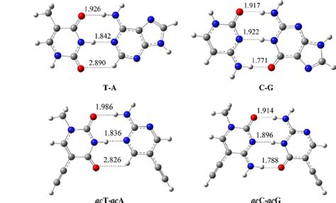Optimized Structures Of Non Natural And Watson Crick Base Pairs