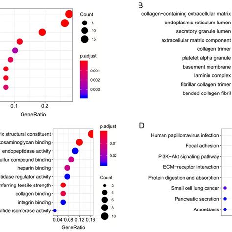 A Expression Abundance Of The Itgb6 Gene In Different Cell Lines