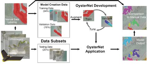 Conceptual Model Of Workflow From Tiled Orthoimagery Through Final
