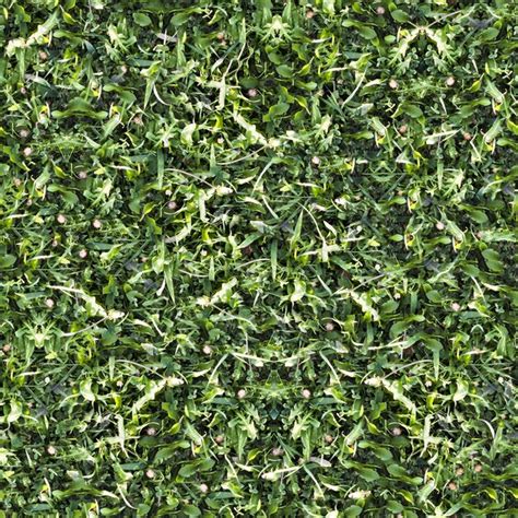 Premium Photo Seamless Green Grass Ground Pattern Background Texture