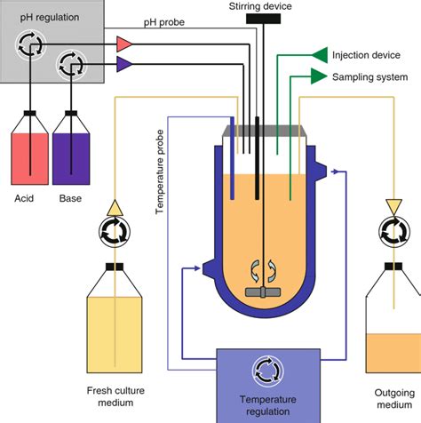 Bioreactor Design For Adherent Cell Culture Contaminationbioprocess My Xxx Hot Girl