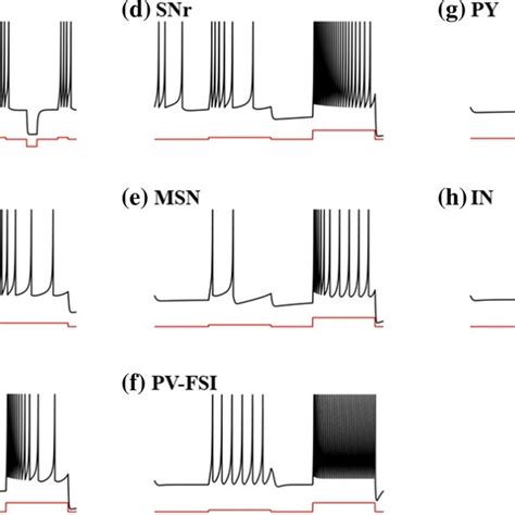 Single Neuronal Firing Characteristics Of The Model A Thalamus Neuron Download Scientific