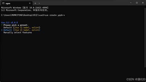 创建vue2项目 新建一个vue2项目 csdn博客