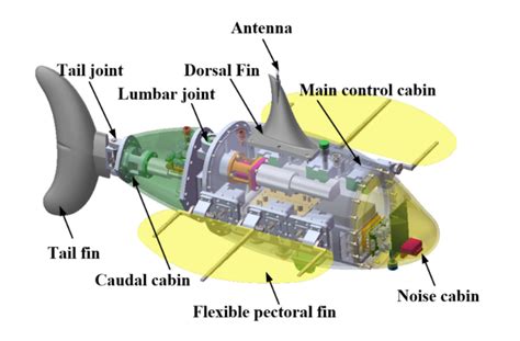 Bionic Underwater Vehicle Inspired By Fish Wi Eurekalert