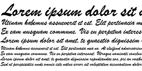 Brush Script Bold Download For Free View Sample Text Rating And